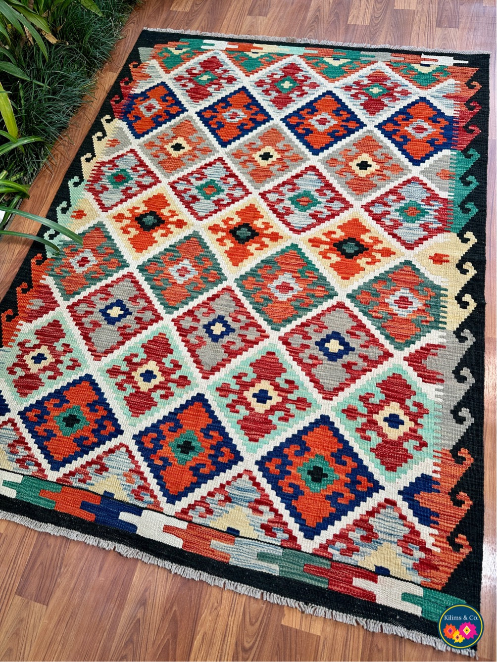 Pure wool kilim 5'7”x4'1” – Kilims&Co.